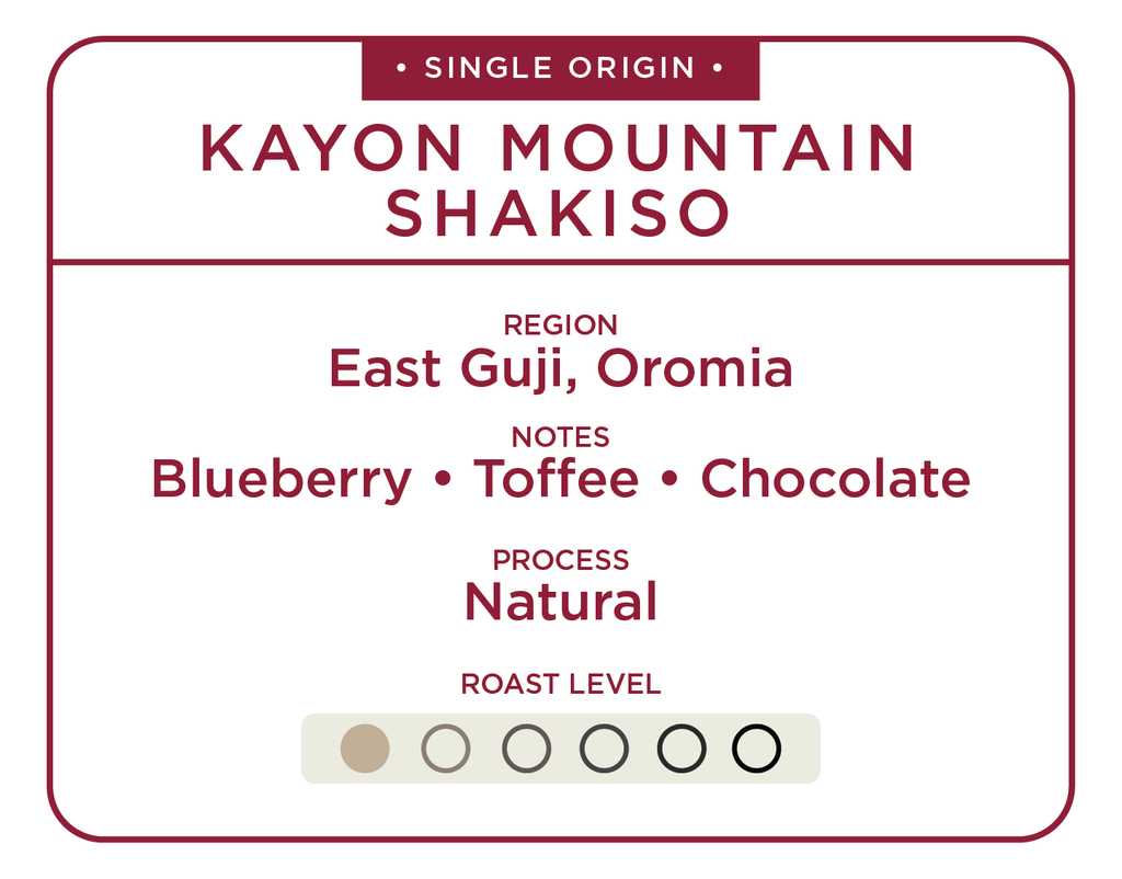 Kayon Mountain Shakiso – The Muse Coffee Co